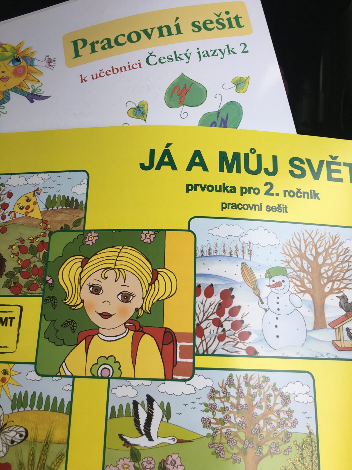 Czech, American and Global Every Day – UT Education Abroad Blog