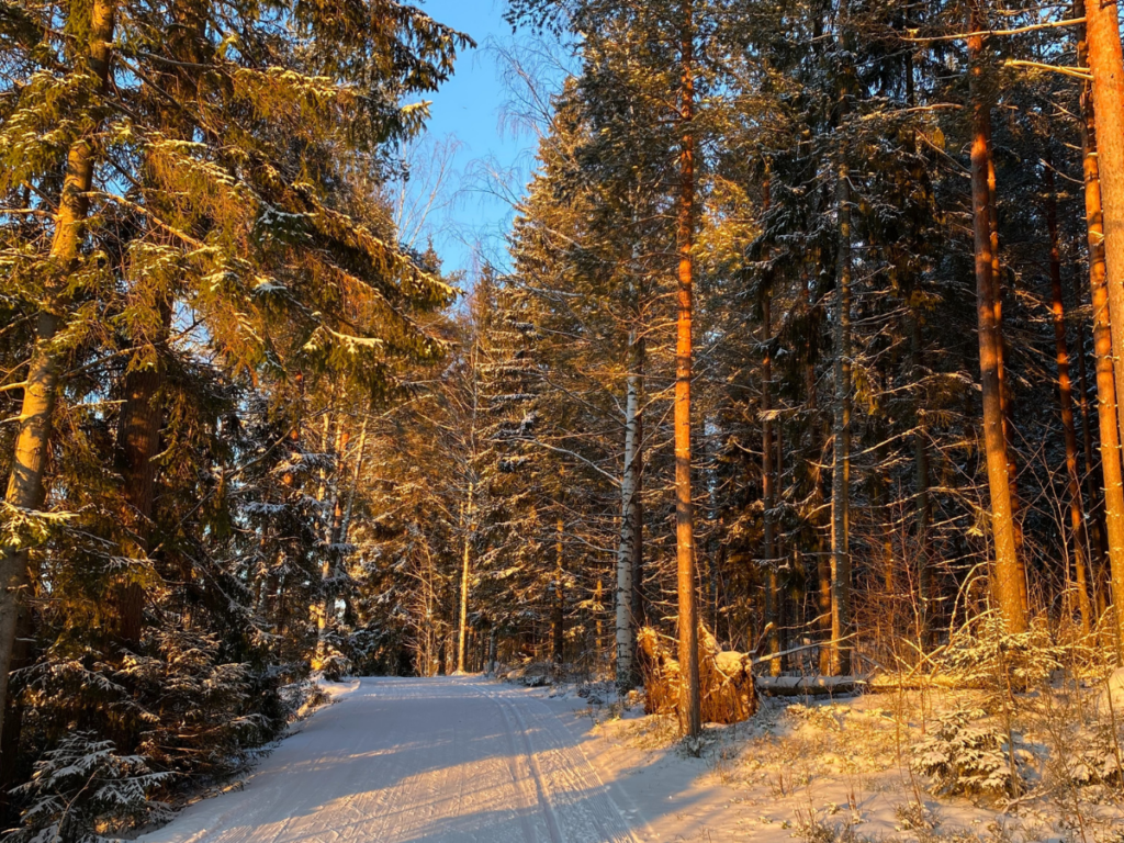 Prepping Your Study Abroad Application: A Step-by-Step Guide – UT ...